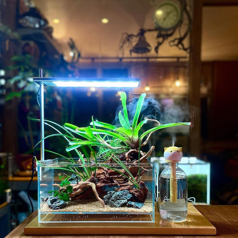 WEEKAQUA – アクアリウム機材・水景インテリアのAPET株式会社 | Aquascaping Photo Electronics TOKYO